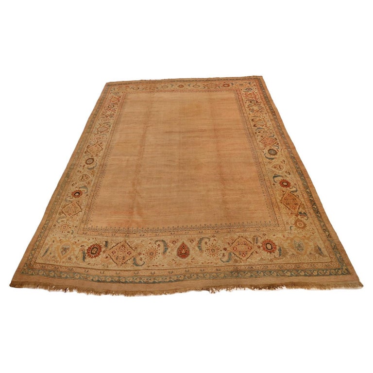 Ziegler-Sultanabad Antique Beige Open Field Rug, Late 1800s - 12'5" x ...