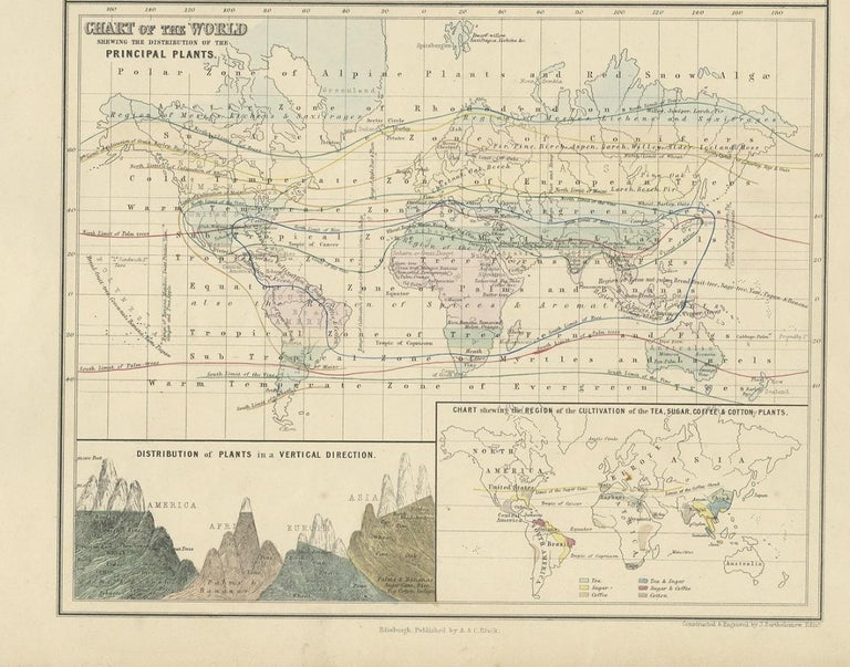 Antique Zoological Chart of the World, 1854 For Sale at 1stDibs