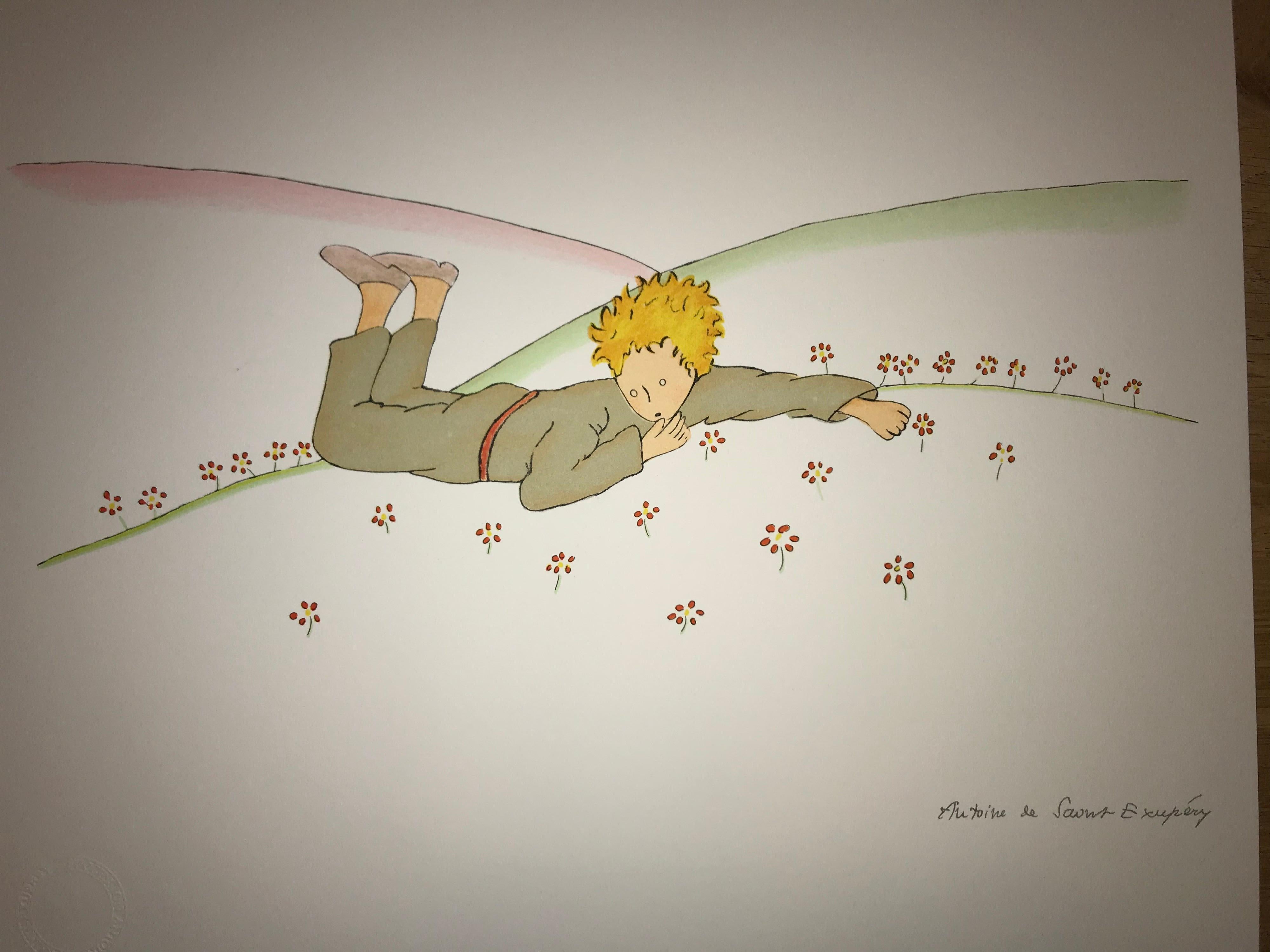 Antoine de saint Exupery - The Little Prince crying in the grass For ...