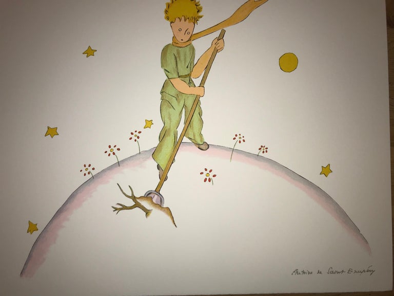 Antoine de saint Exupery - Portfolio Le Petit Prince - 20 Lithographs ...