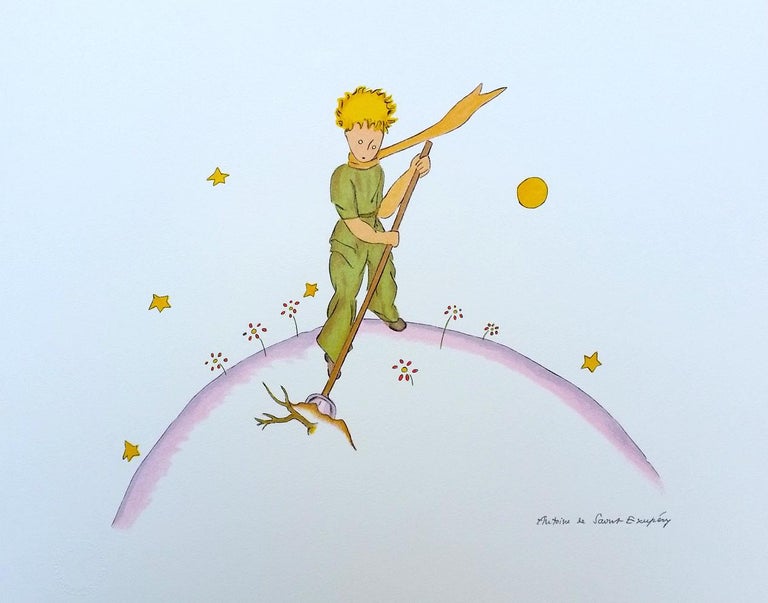 Antoine de saint Exupery - The Little Prince on his Grand Volcano at ...