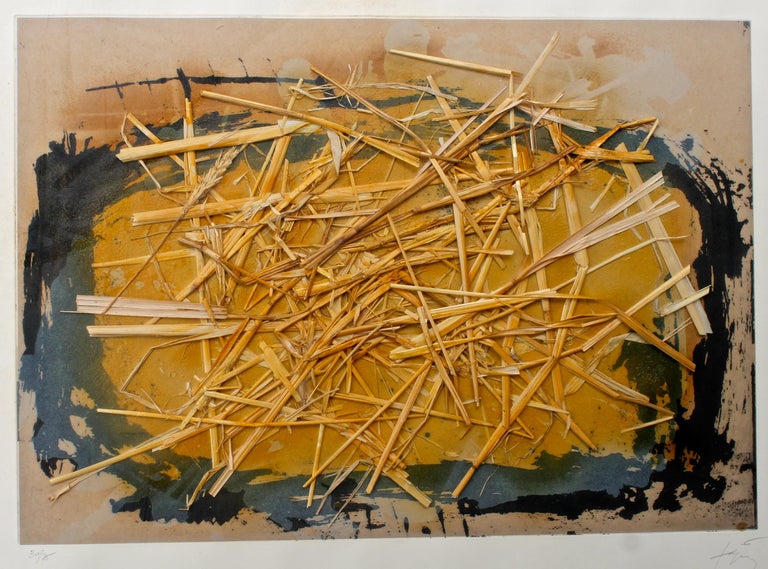 Antoni Tapies 'La Paille' 1969 Aquatint with Straw Collage For Sale at ...
