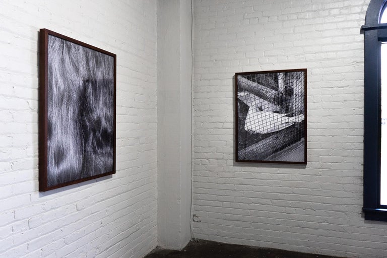 Antonia Stoyanovich - Two Doves For Sale at 1stDibs