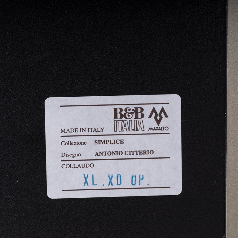 Antonio Citterio for Maxalto Psiche Wall Mirror For Sale at 1stDibs