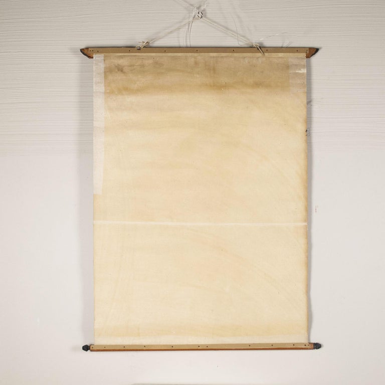 Antonio Vallardi Linen Canvas Print For Sale at 1stDibs