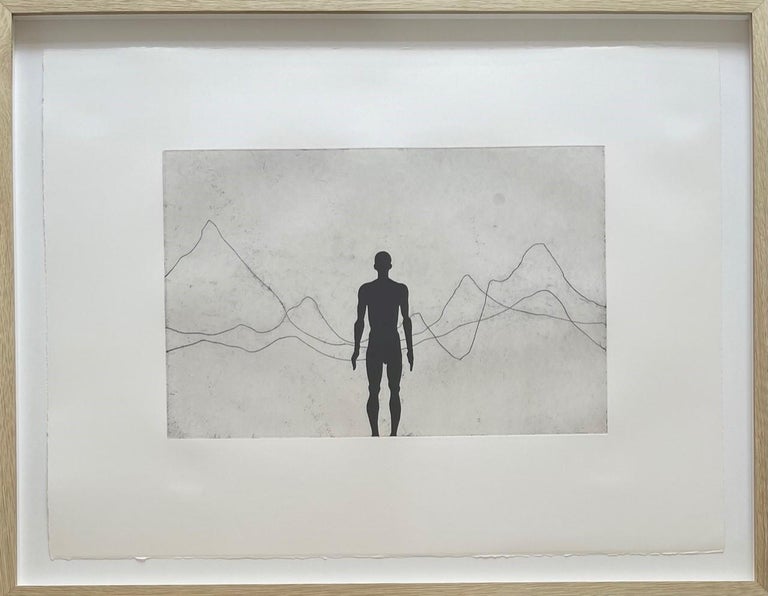 Antony Gormley - Horizon Field (2010) (signed) For Sale at 1stDibs