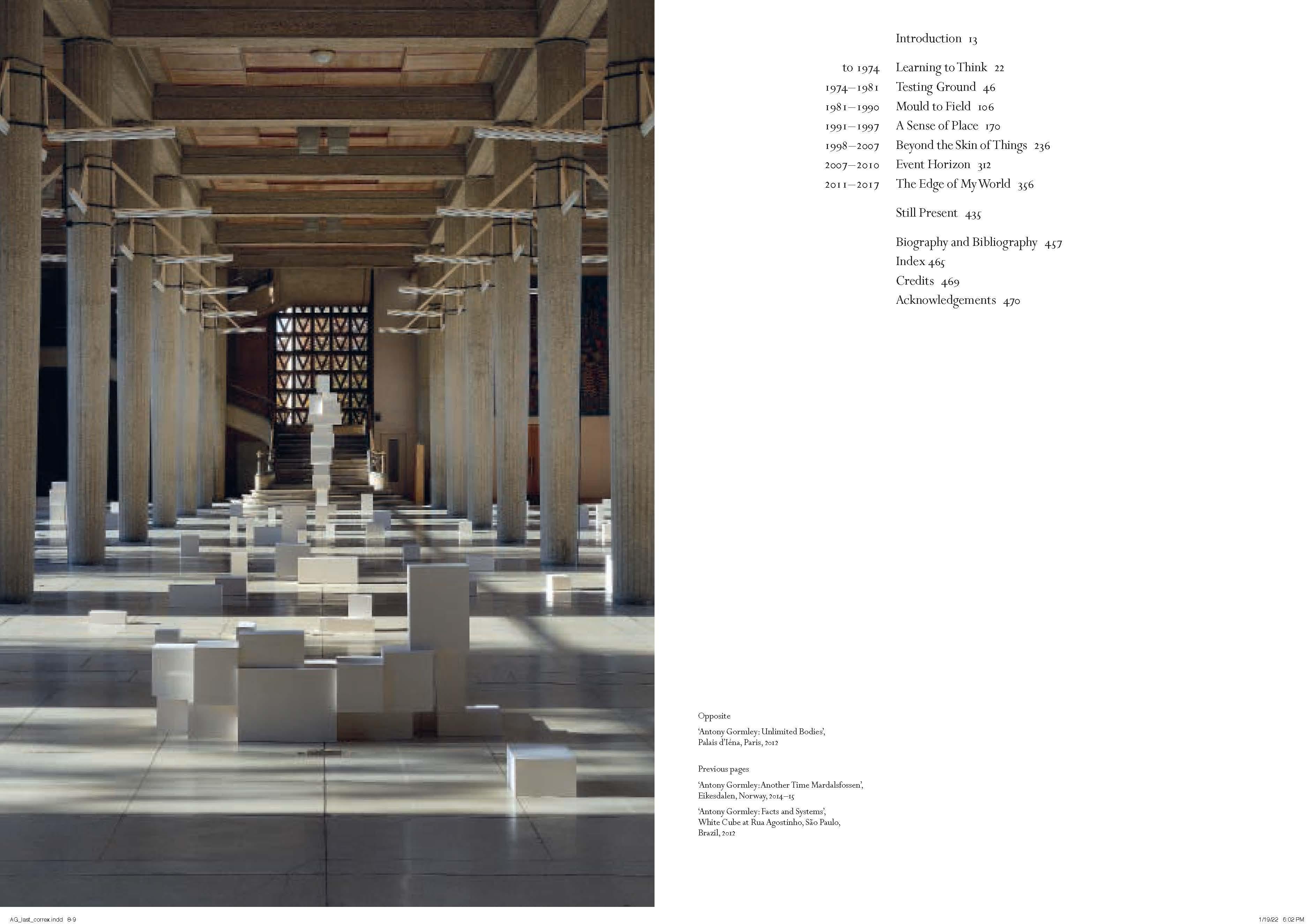 Antony Gormley For Sale at 1stDibs
