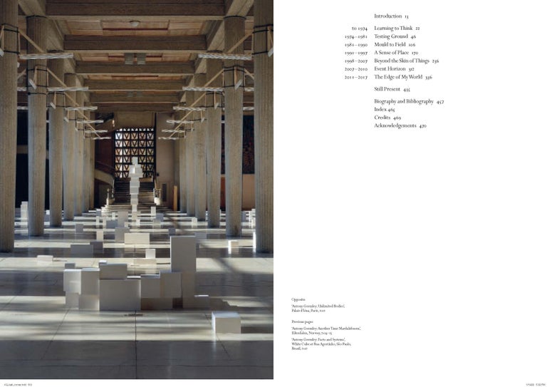 Antony Gormley For Sale at 1stDibs