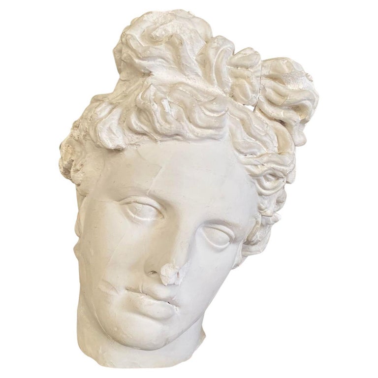 Apollo Bust French Plaster Life Size Head Art Sculpture For Sale at 1stDibs