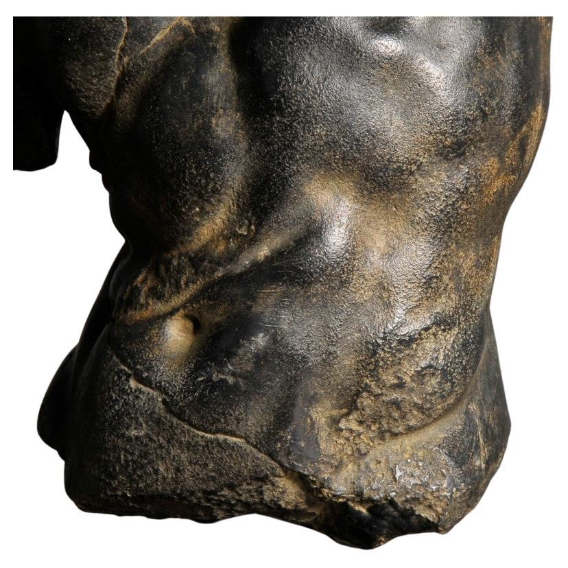 Apollo Torso Small For Sale at 1stDibs