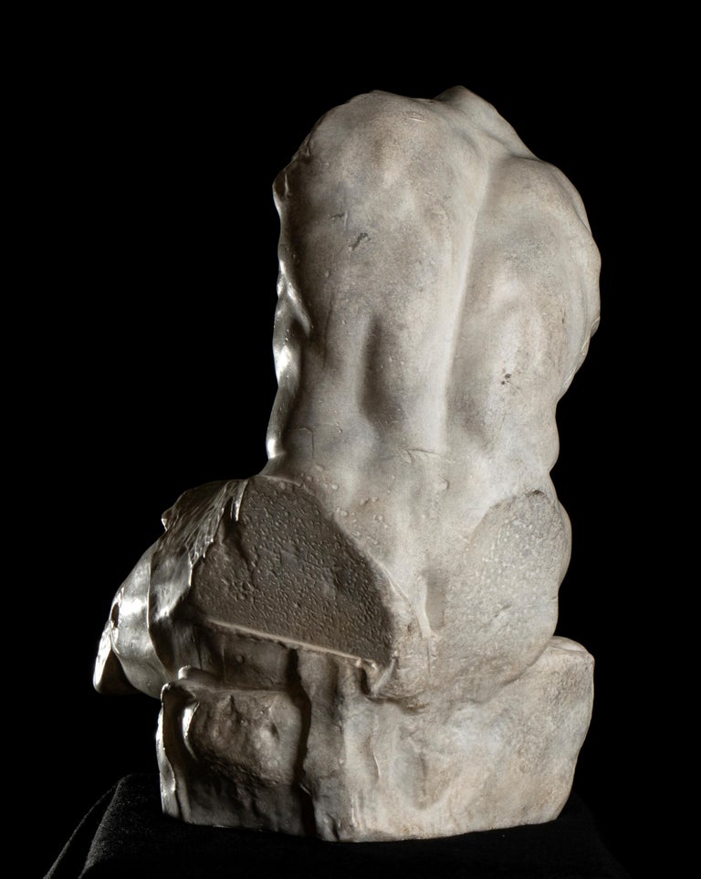 Belvedere Torso Grand Tour Style Figurative Sculpture Plaster 20th ...