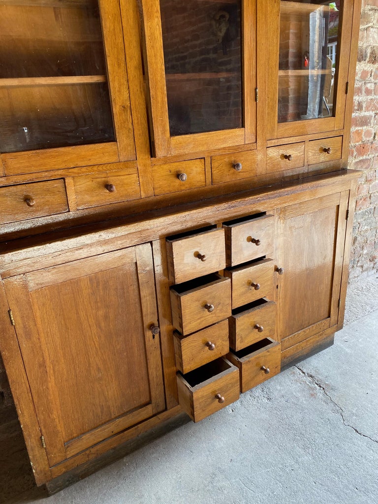 Apothecary Display Cabinet Pharmacy Chemist Shop circa 1920s Number 7 ...