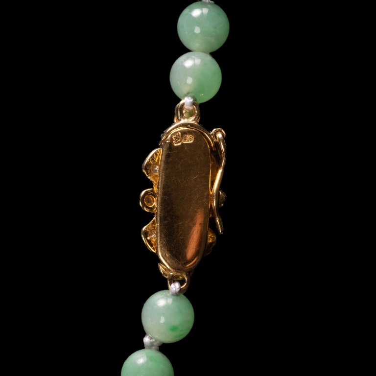 Apple Jade Necklace of Extraordinary Quality Certified Untreated at 1stDibs