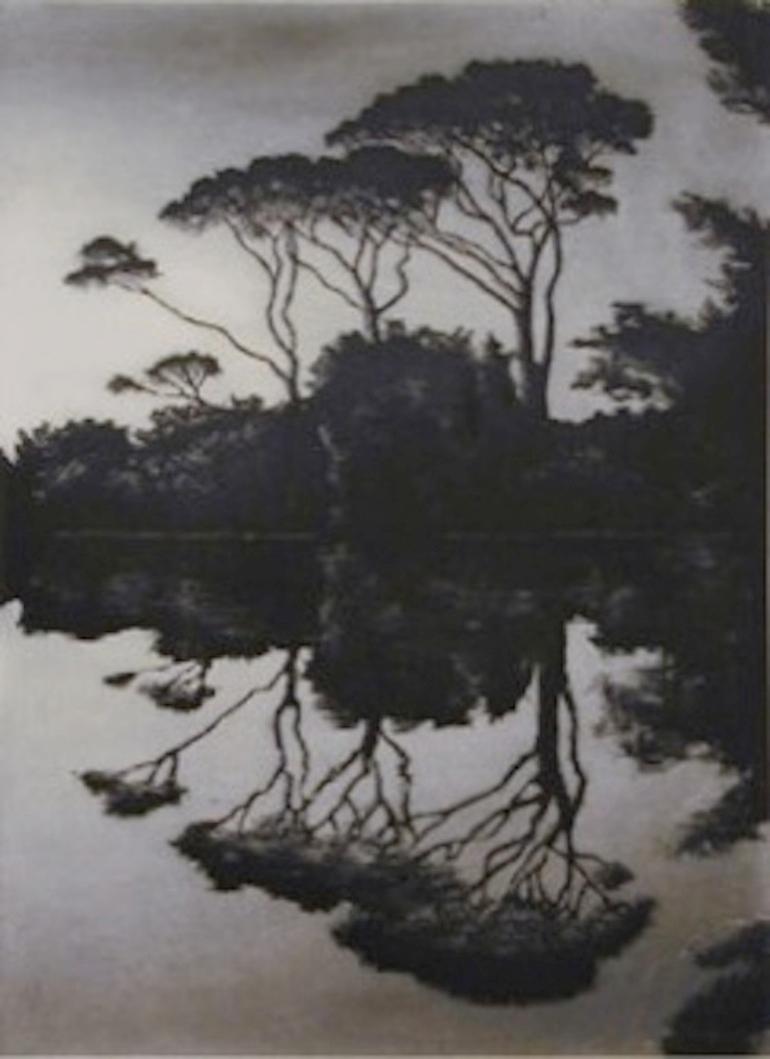 April Gornik - Mirrored Trees (B&W REFLECTION OF TREES IN WATER ...