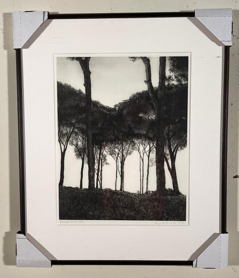April Gornik - PALATINE LIGHT at 1stDibs