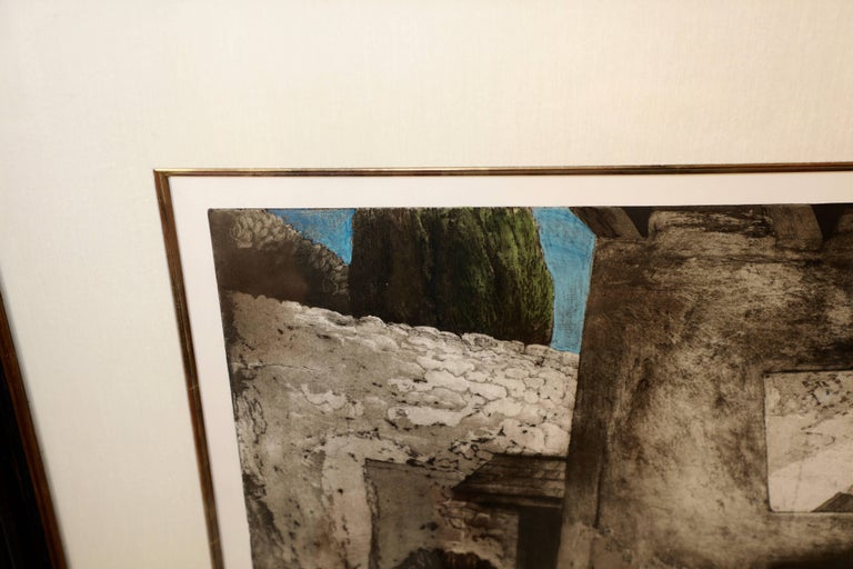 Aquatint Dated 1995 by the Noted Bosnian Artist Safet Zec at 1stDibs