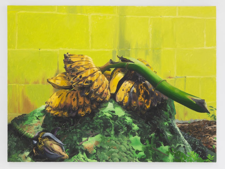 Aramis Gutierrez - Ester of Topocho For Sale at 1stDibs