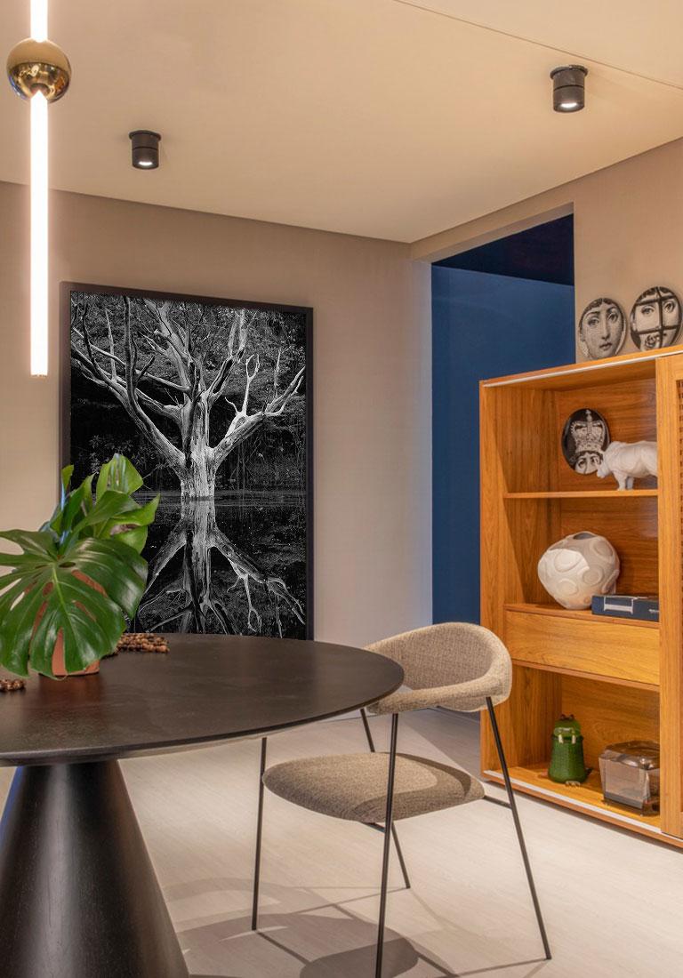 Araquém Alcântara - Dead Tree, Jau, The Amazon, Brazil For Sale at 1stDibs