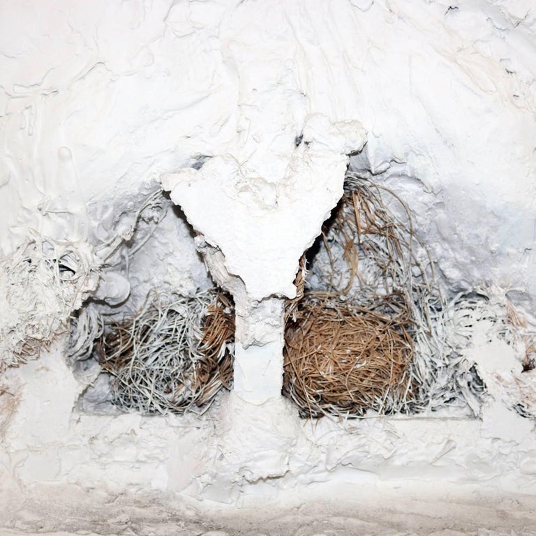 Oversized Architectural Rococo Figural Plaster Cherub and Acanthus ...