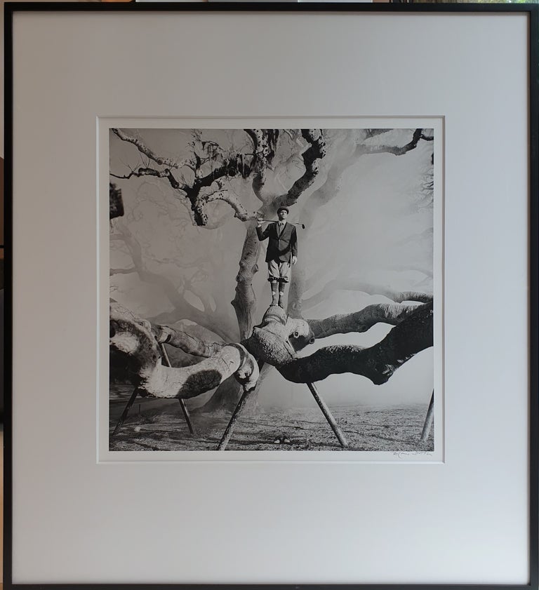 Archival Print 'Golfer in Tree' by Rodney Smith For Sale at 1stDibs