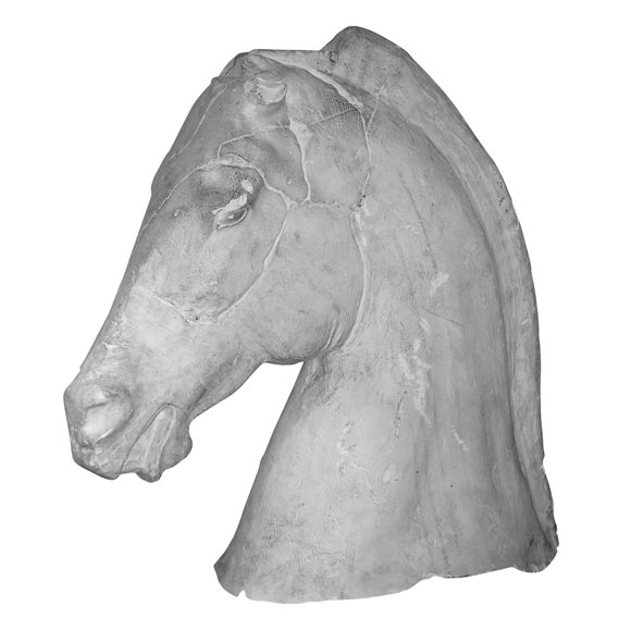 Plaster Horse Head-Life Size at 1stDibs
