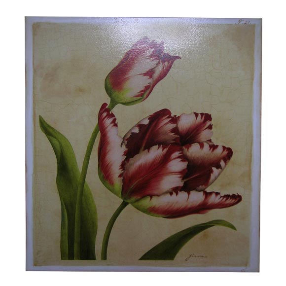 Exotic Dutch Tulip For Sale at 1stDibs