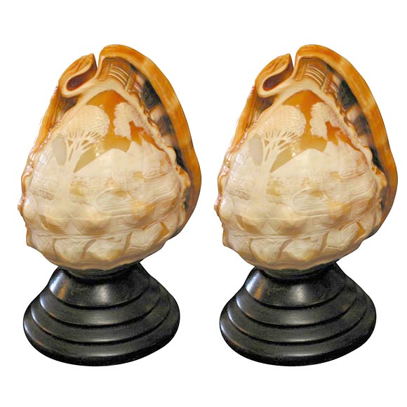 C1920 Carved Cameo Shell Lamps at 1stDibs