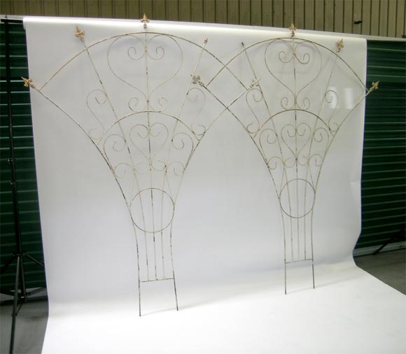 A Pair of Fan Shaped Iron Trellises at 1stDibs