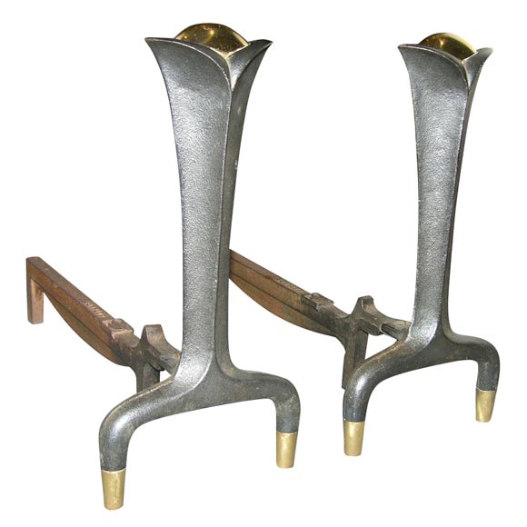 Pair of cast iron and gilt metal andirons at 1stDibs