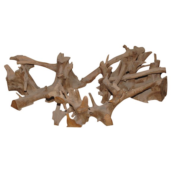 Teak Root Coffee Table Base at 1stDibs