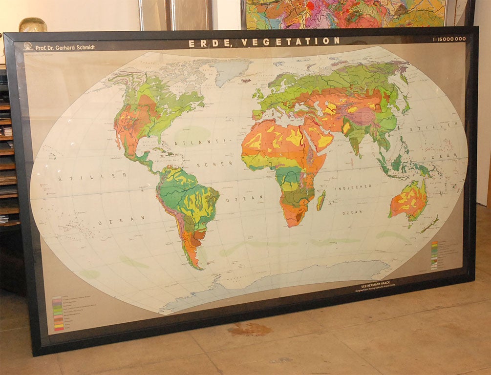 World Vegetation Map at 1stDibs