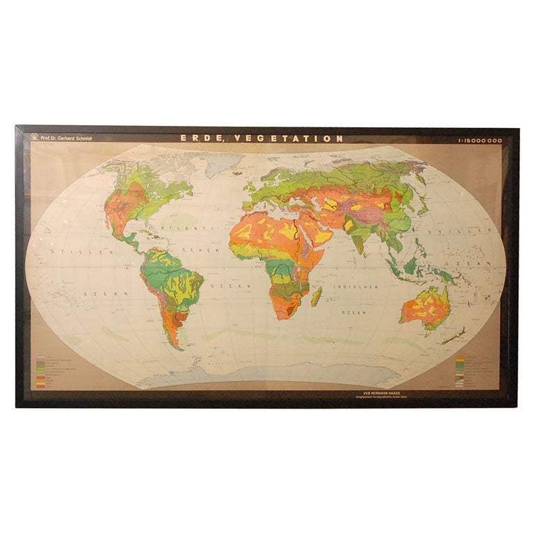 World Vegetation Map at 1stDibs