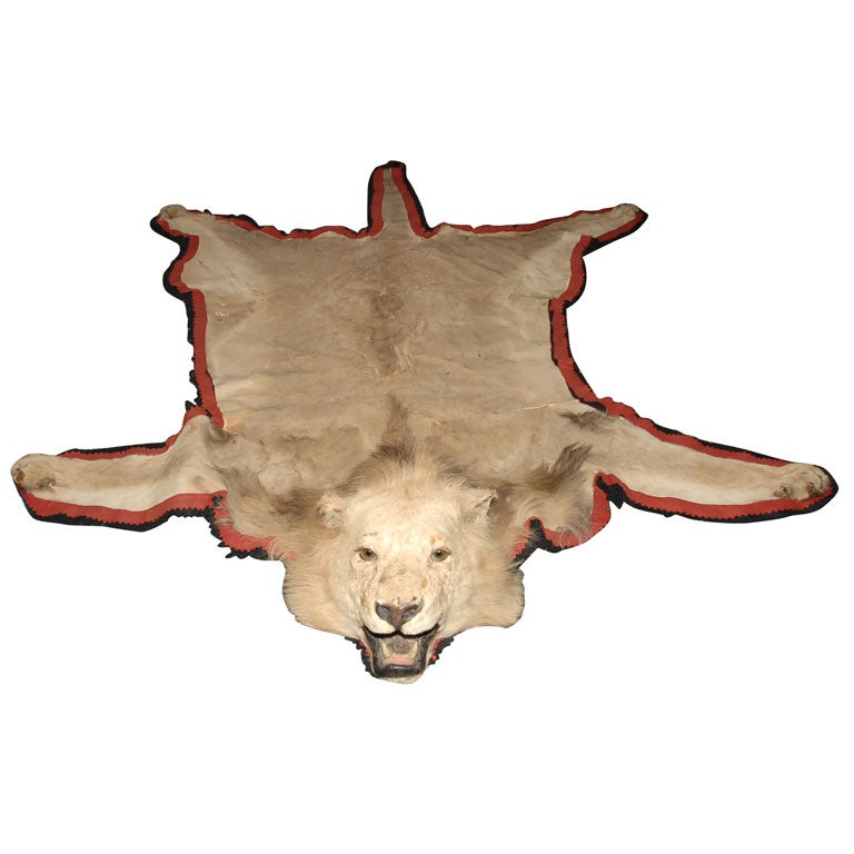 Large Antique Lion Skin Rug at 1stDibs | african lion skin rug for sale ...