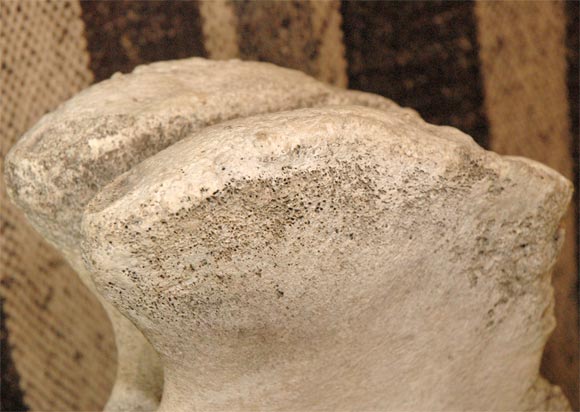 Vintage Whale Bones Mounted on Stands at 1stDibs