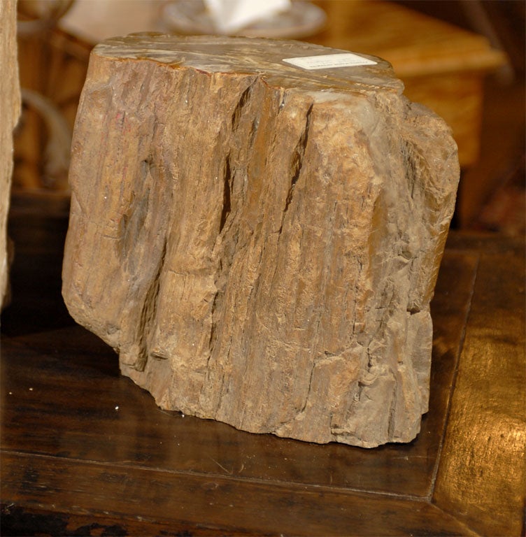 Natural petrified wood sculptures at 1stDibs
