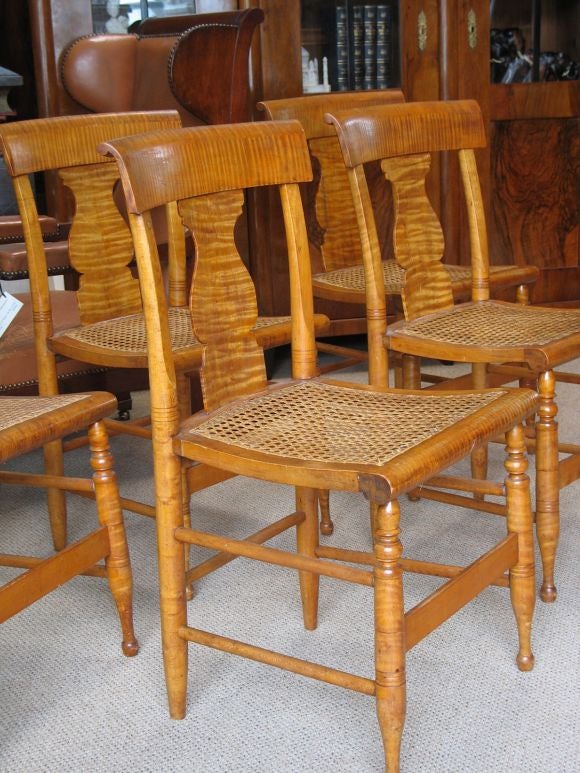 Tiger Maple Chairs at 1stDibs