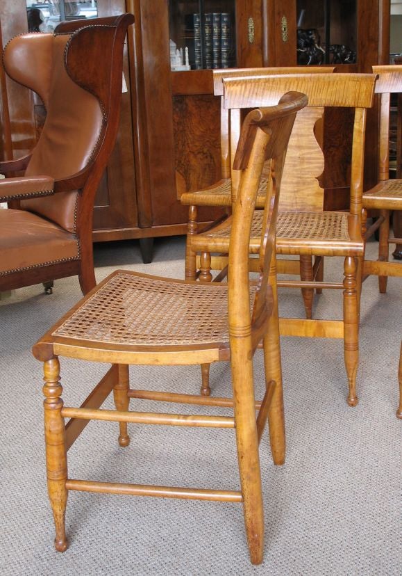 Tiger Maple Chairs at 1stDibs