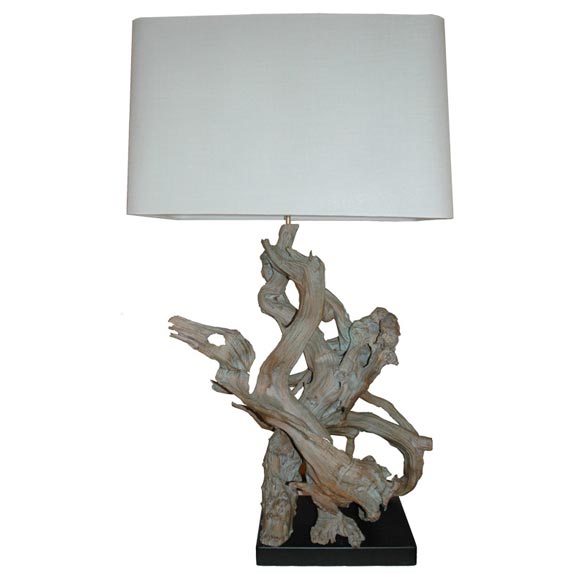 Driftwood Table Lamp at 1stDibs