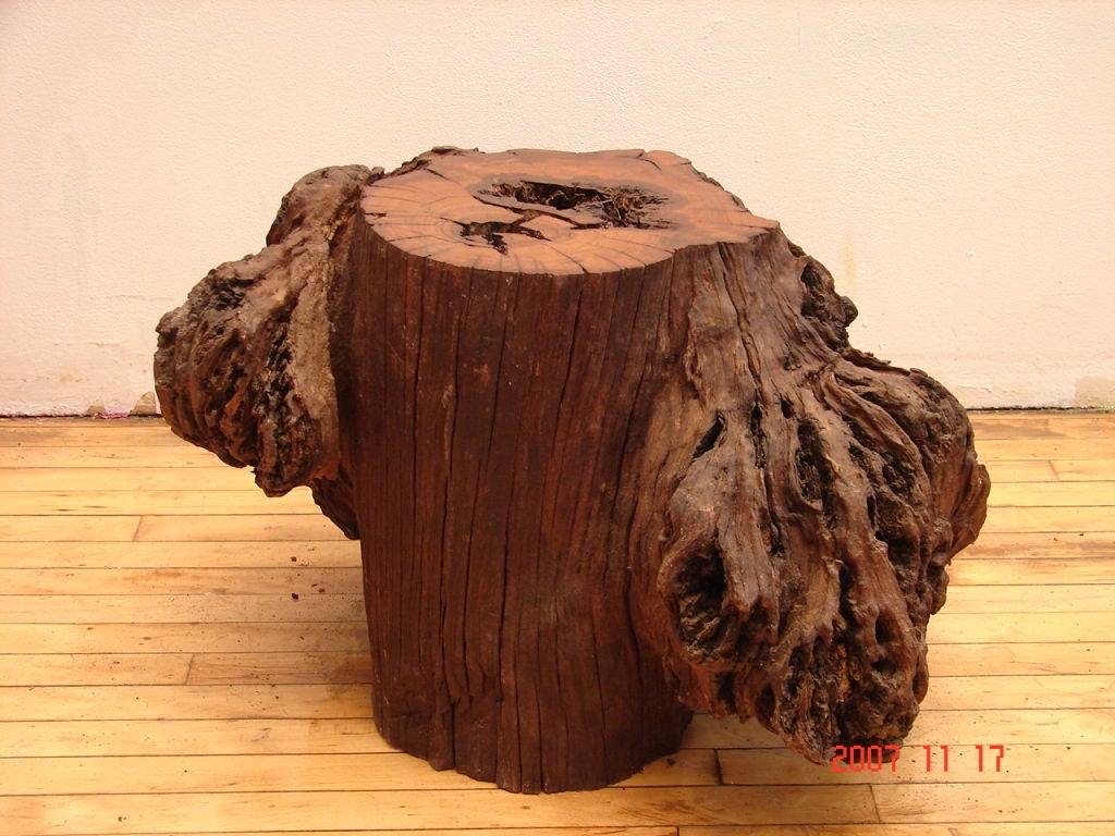 rosewood root burl stump For Sale at 1stDibs