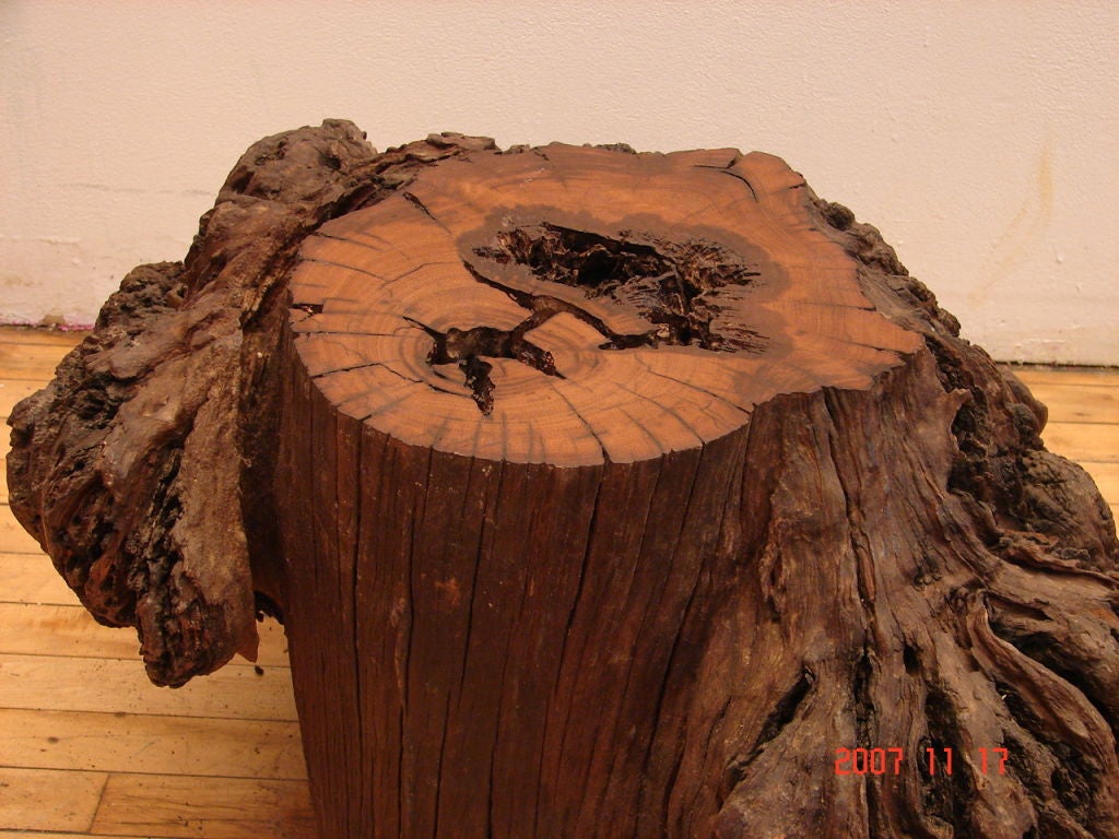 rosewood root burl stump For Sale at 1stDibs