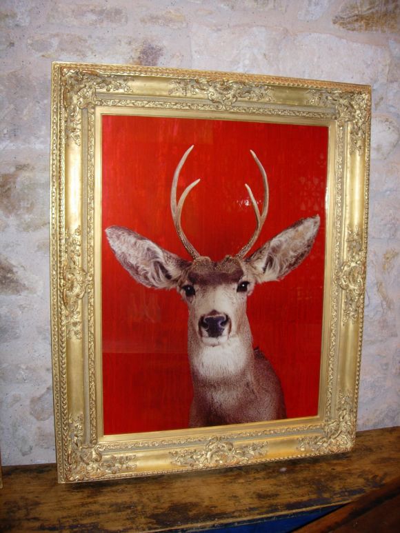 set of tasha ostrander c-prints, framed at 1stDibs