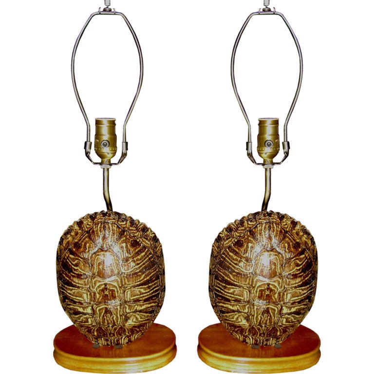 Nice pair of turtle shell lamps on walnut bases at 1stDibs