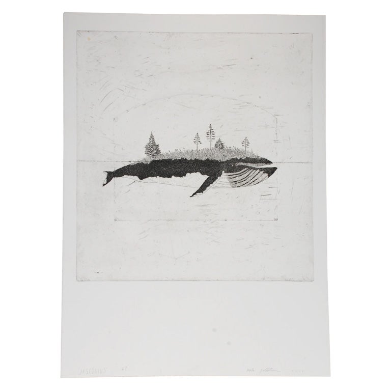 Jasconius, from Whale Island series, by Mollie Goldstrom For Sale at ...