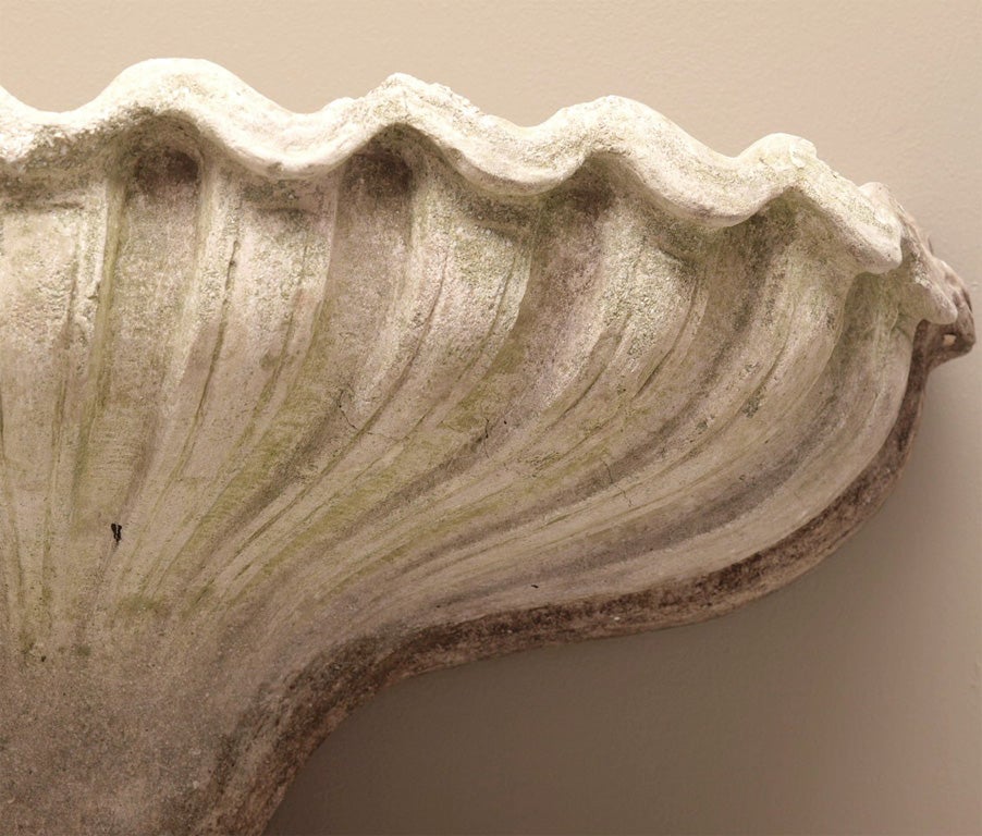 Pair of Shell Basins For Sale at 1stDibs