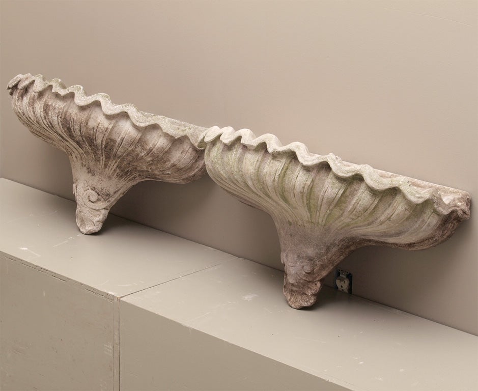 Pair of Shell Basins For Sale at 1stDibs