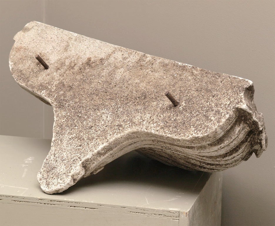 Pair of Shell Basins For Sale at 1stDibs