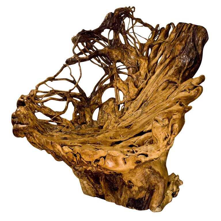 Large Root chair from Banyan root at 1stDibs