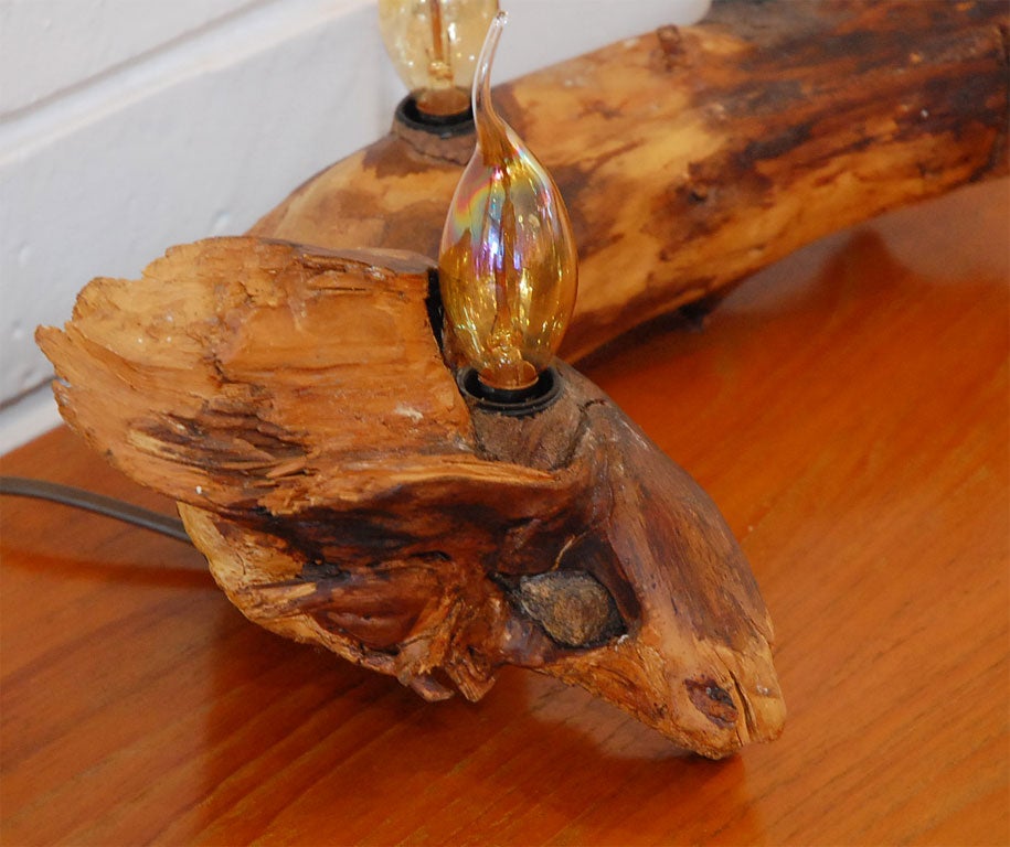 Organic Log Light at 1stDibs