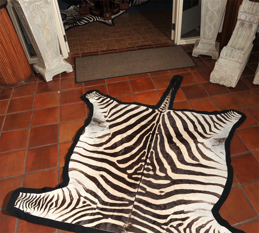 Zebra Skin Rug at 1stDibs