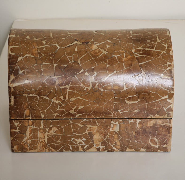 Domed Sliced Coconut Shell Box at 1stDibs